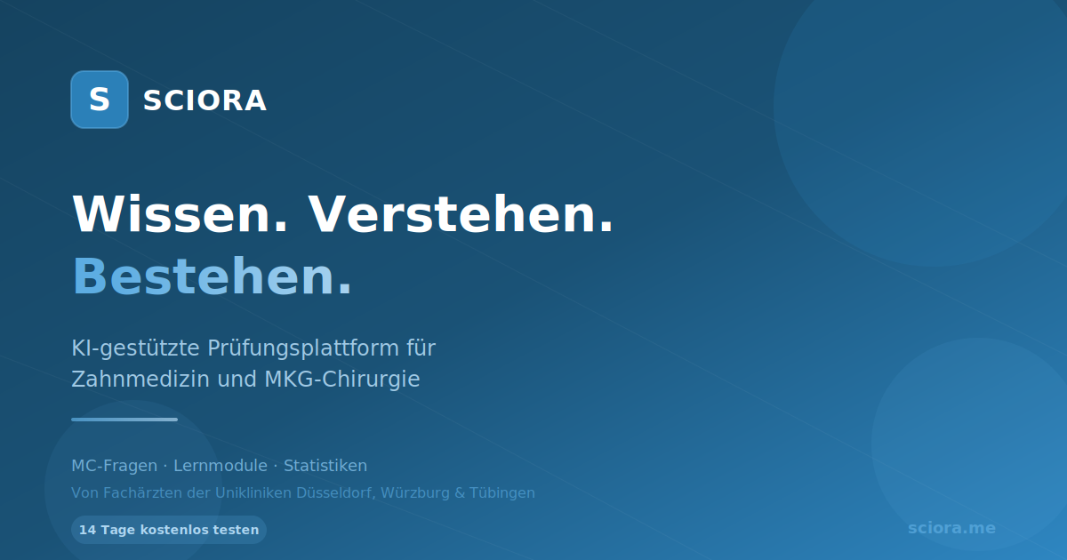 Fragebogen auswerten: Anleitung mit Excel, SPSS & R 2026 — SCIORA